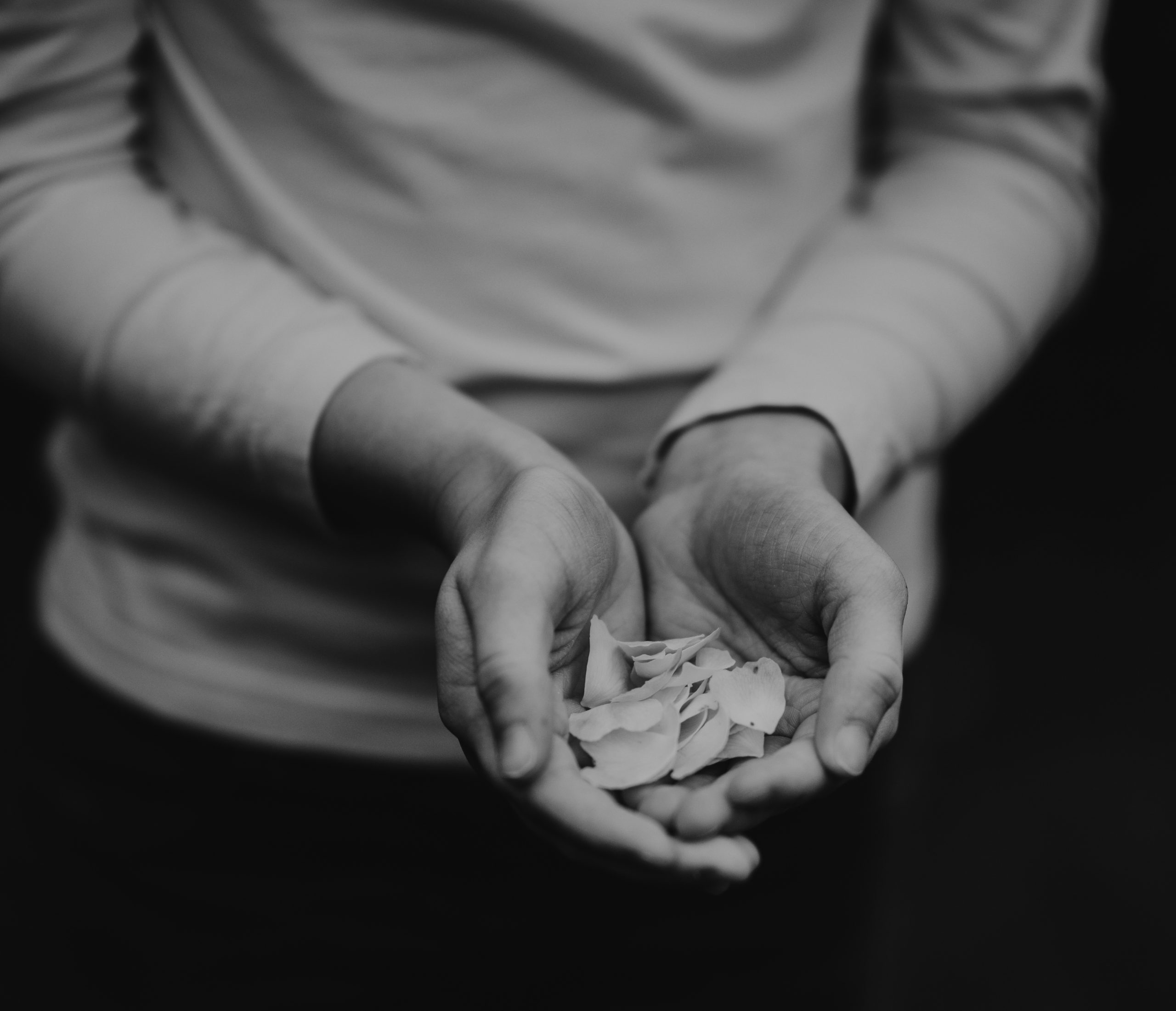 Ingredients — Nabie
